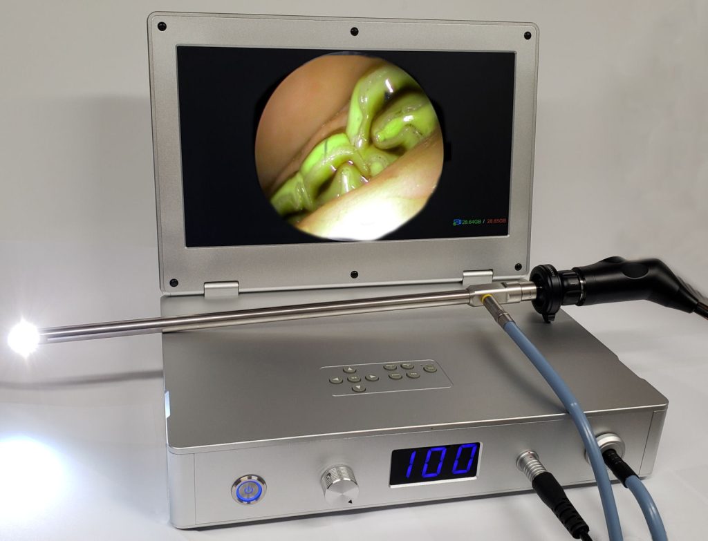 The Equine Dental Endoscope – EASTERN ENDOSCOPY UK