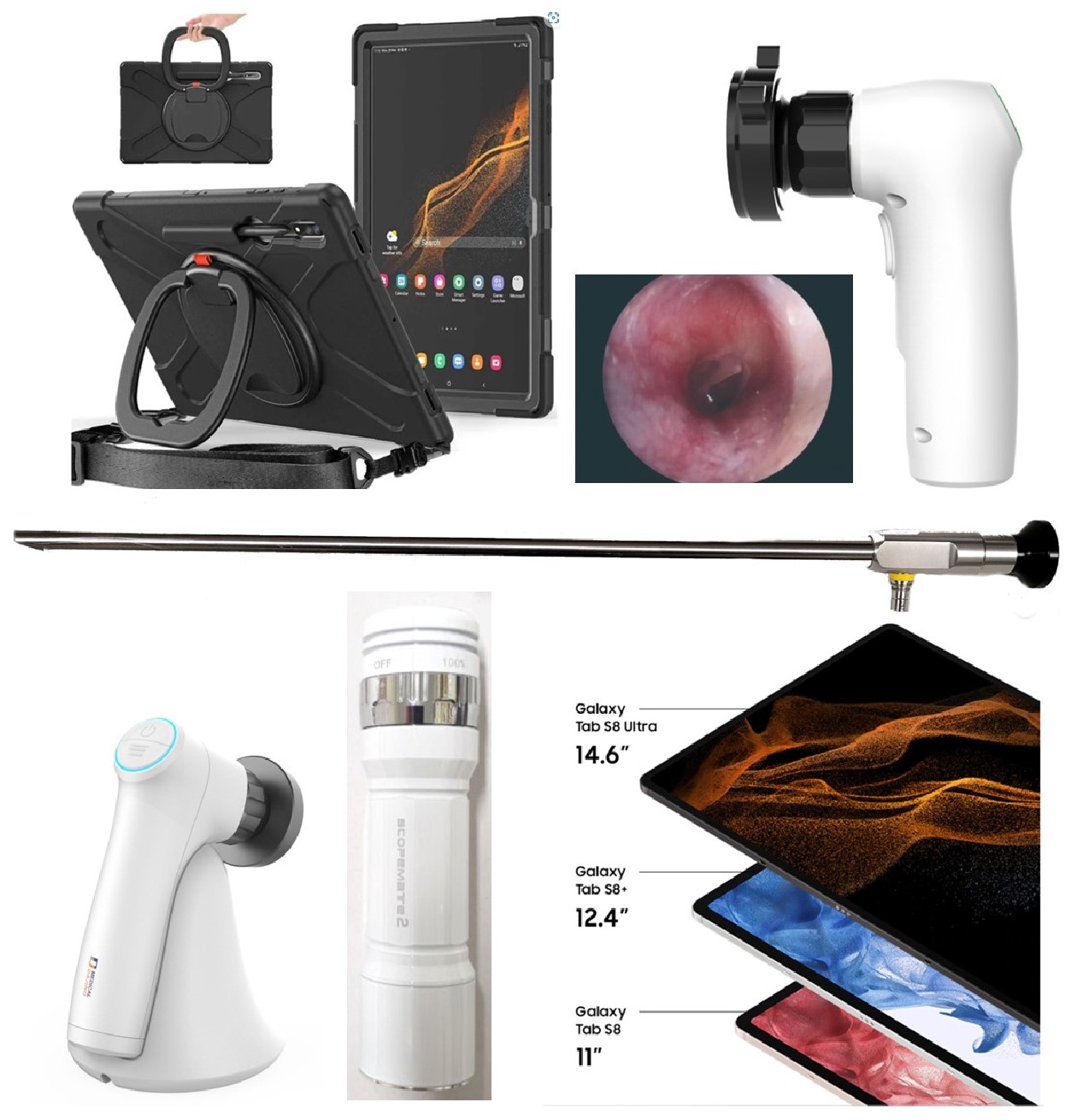 The Equine Dental Endoscope – EASTERN ENDOSCOPY UK