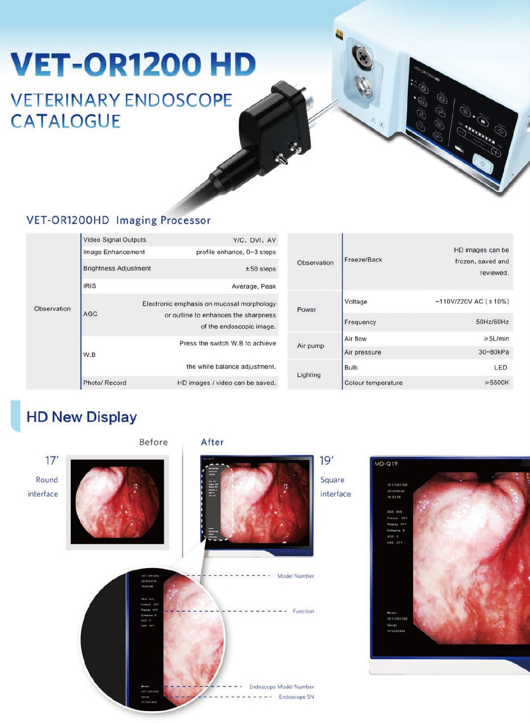 Equine & Small Animal Full HD Endoscopy All-In-One Systems – EASTERN ...