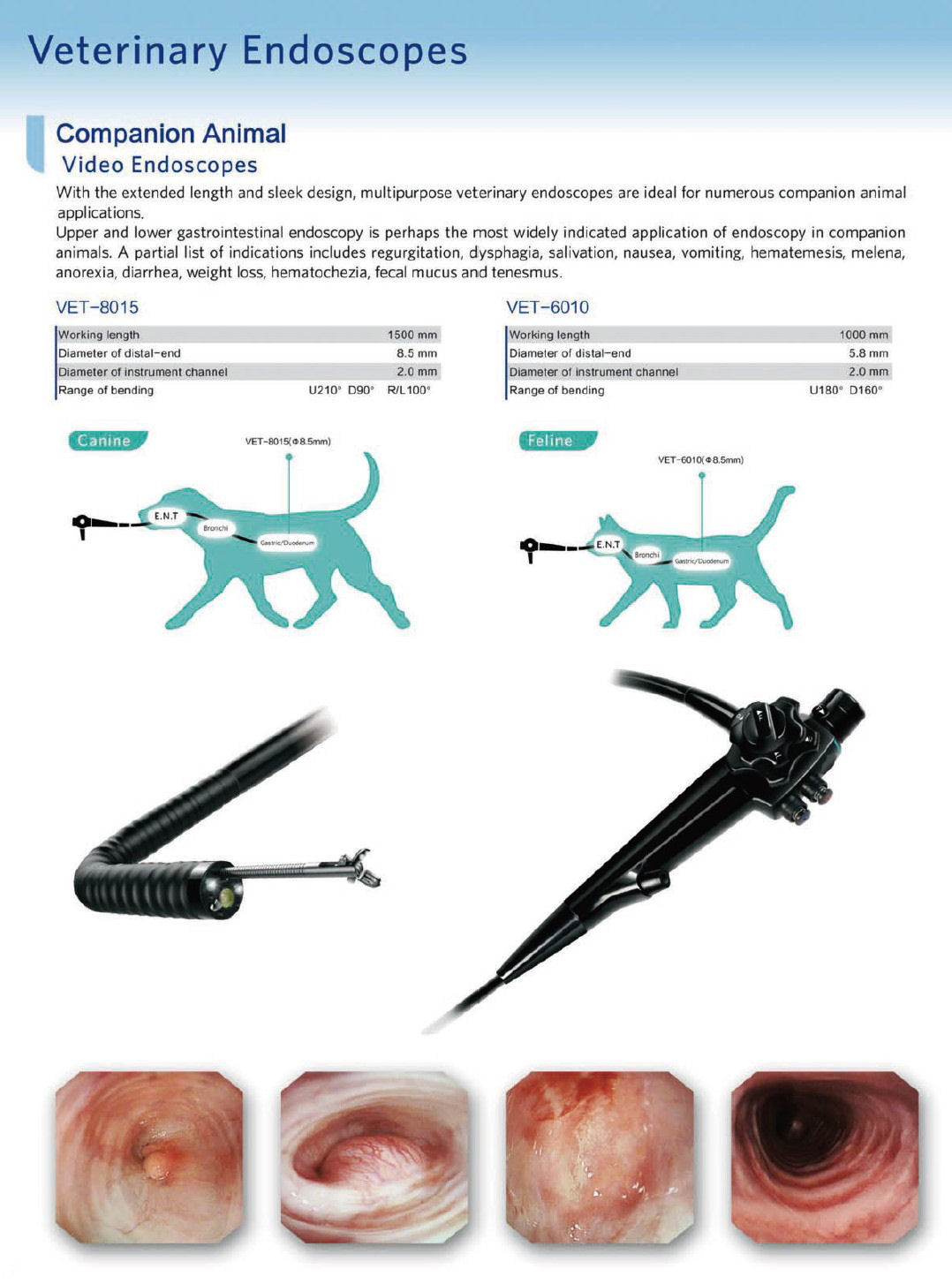 Equine & Small Animal Full HD Endoscopy All-In-One Systems – EASTERN ...